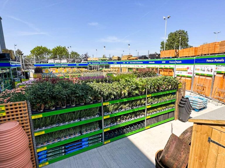 B&M Stores with Garden Centres in UK: A One-Stop Shop for All Your ...